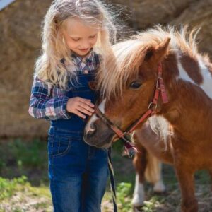 Play - Hunter Valley Resort + Farm