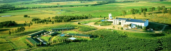 Hunter Valley Cooking School - Hunter Valley Resort + Farm